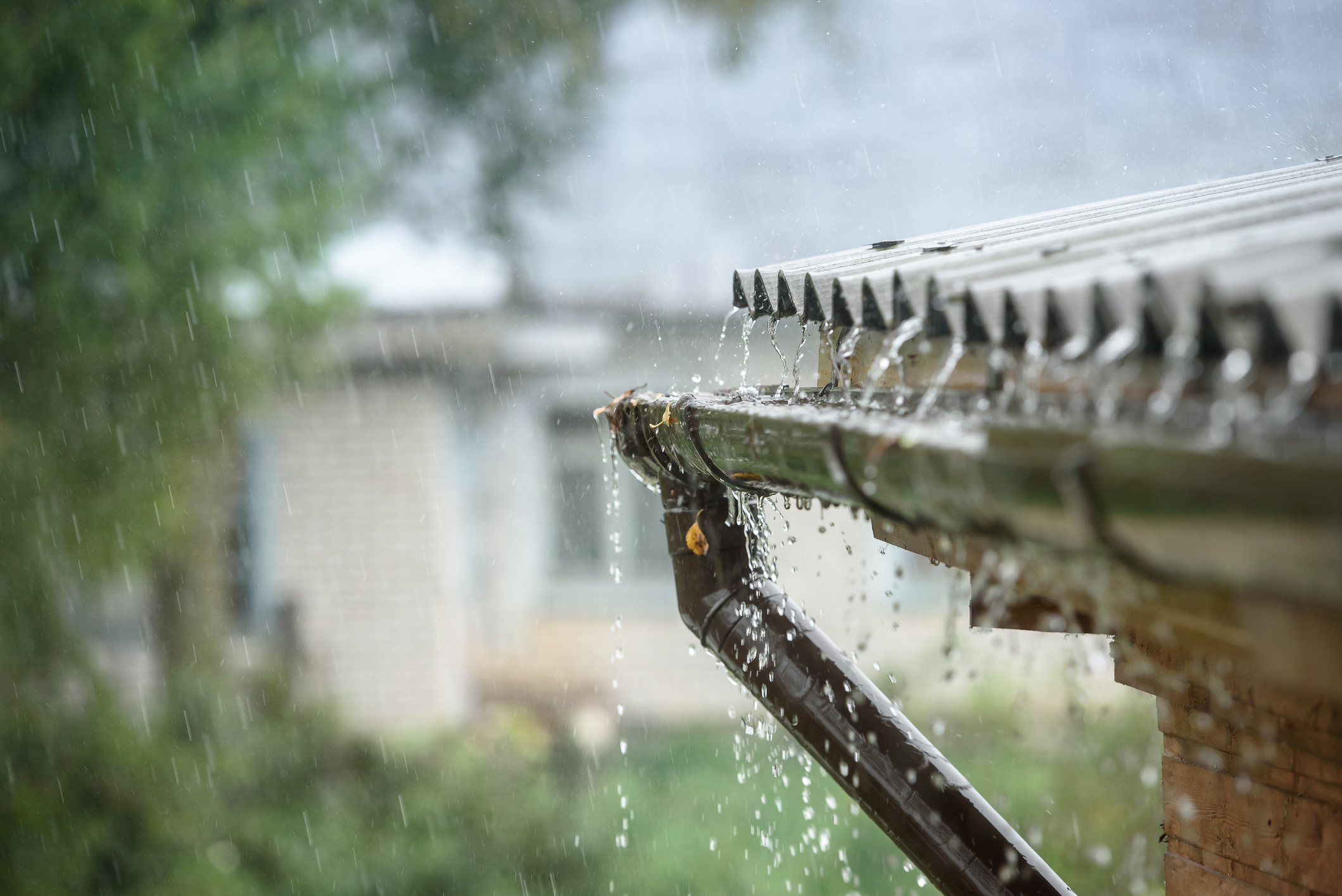 Don't Let Your Home Drainage System Work Against You | Sandbox Mutual ...
