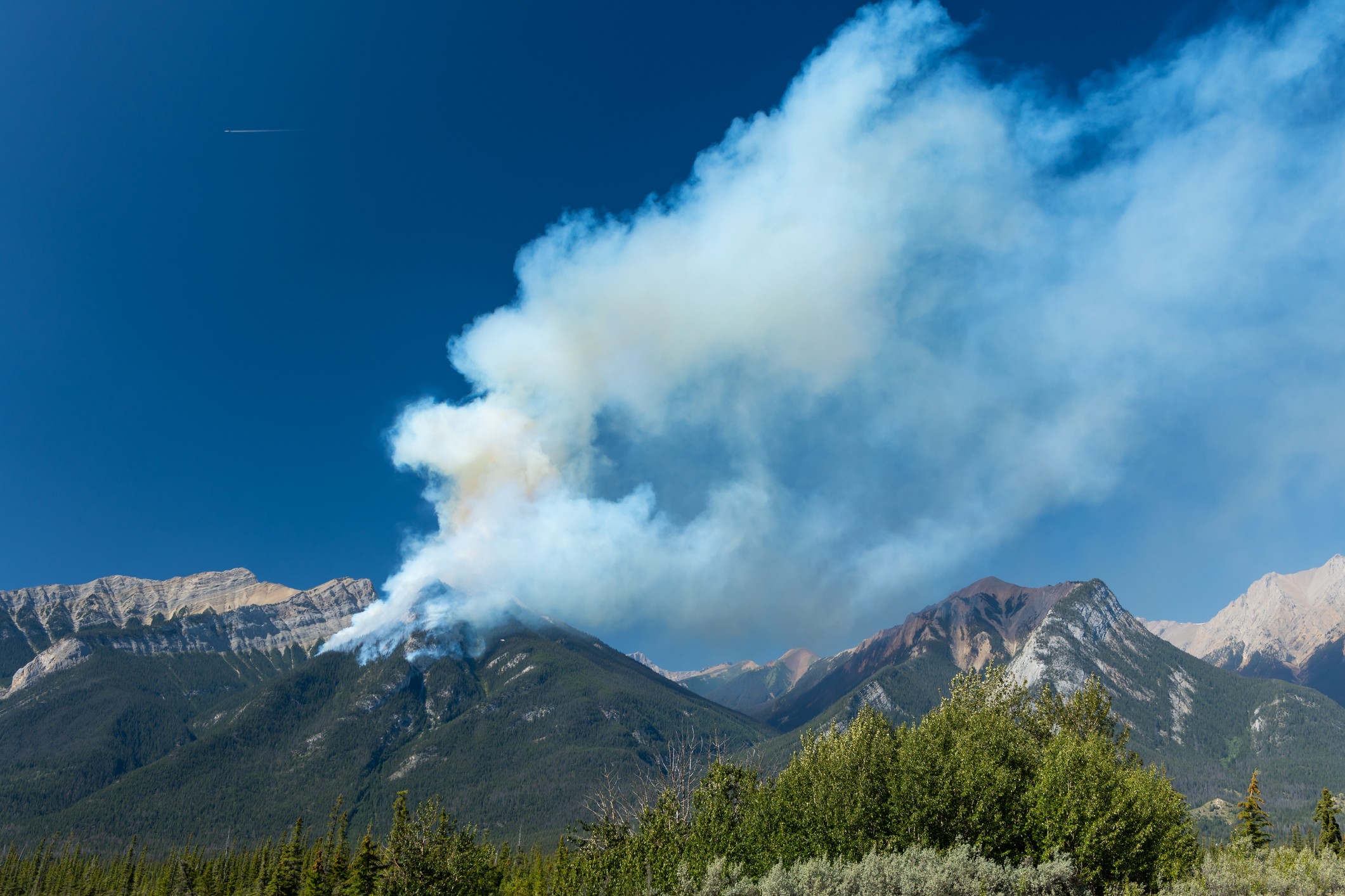 Uniting for Jasper: Sandbox Activates Emergency Response Program ...